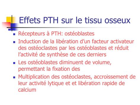PPT Le métabolisme Phospho calcique PowerPoint Presentation free