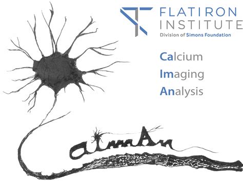 bayesian spike inference from calcium imaging data papers with code