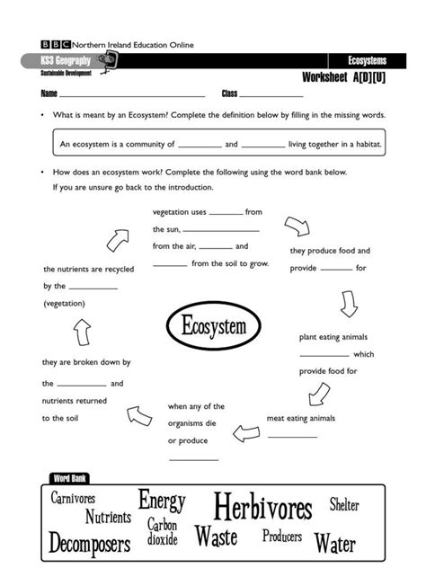 Energy Flow In Ecosystems Worksheet Worksheet For Education Artofit