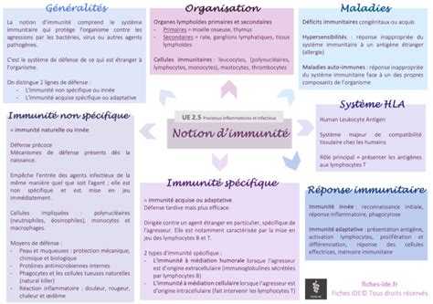 14 Schéma Notion d immunité Fiches IDE