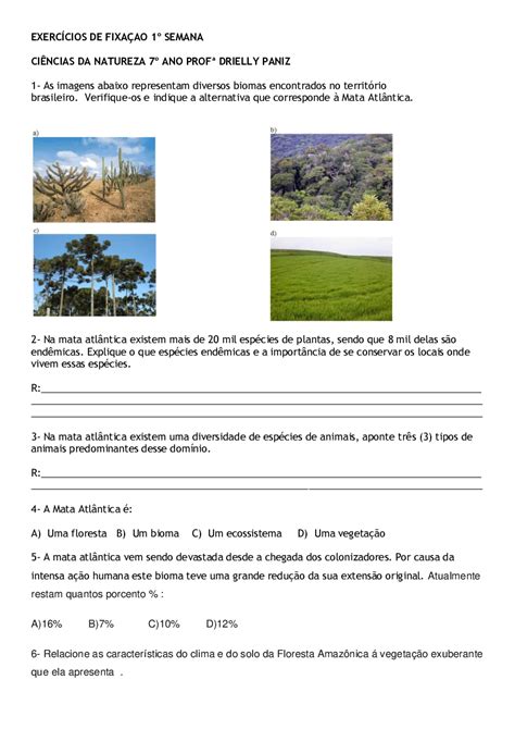 Atividade Sobre Vegeta O Ano Edukita