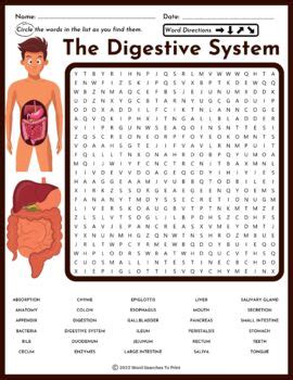 The Digestive System Word Search Puzzle By Word Searches To Print