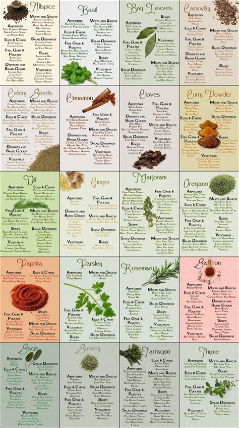 Herb Spice Chart Common Sense Evaluation