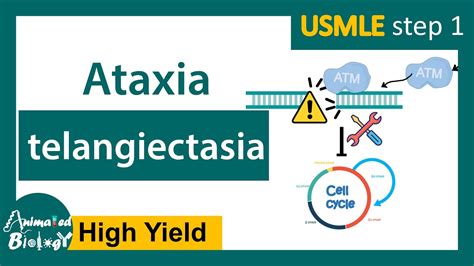 Ataxia Telangiectasia Causes Symptoms And Pathology Of Ataxia
