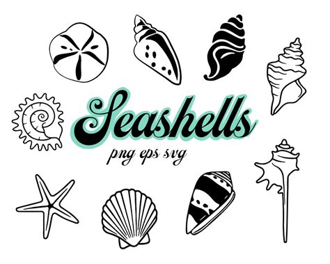Seashell SVG Bundle Seashells Cricut Cut Files SVG Files Etsy Canada