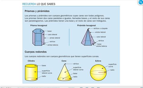 Vertices Del Cilindro Partes De Un Cilindro Con Diagramas