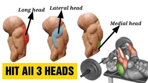 Best Triceps Workout For Every Head Hit All Heads Fitkill Youtube