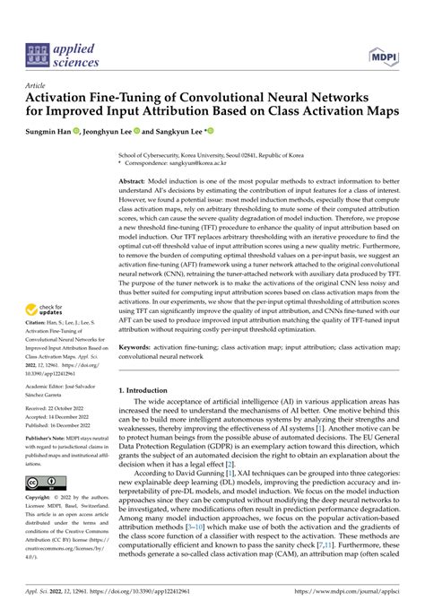 pdf activation fine tuning of convolutional neural networks for improved input attribution
