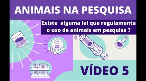 Existe Alguma Lei Que Regulamenta O Uso De Animais Em Pesquisa YouTube