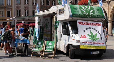 Legalizacja Marihuany W Niemczech Coraz Wi Cej Uzale Nionych Trafia Do