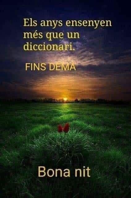 Pin De Elena Villanueva En Bona Nit Mejores Frases De Buenas Noches