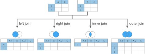 Merging And Joining DataFrames In Pandas SoByte