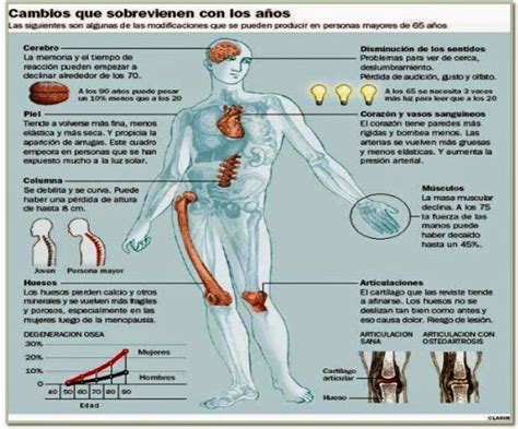 Cambios Anatomofisiologicos Del Adulto Mayor Vejez Sistema Urinario