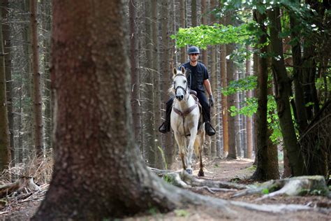 Itinéraire équestre en Europe La Route Européenne d Artagnan