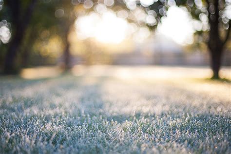 5 Tips For Proper Lawn Care For Winter Home Matters AHS