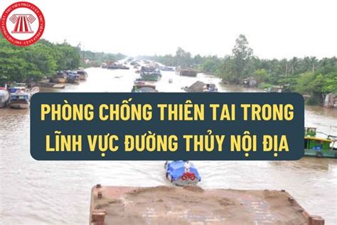 L Ch Tr C Ban Ph Ng Ch Ng Thi N Tai Trong L Nh V C Ng Th Y N I A