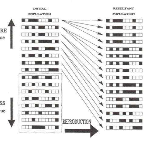 reproduction process in a genetic algorithm download scientific diagram