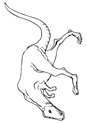Tyrannosaurus Rex Ausmalbild