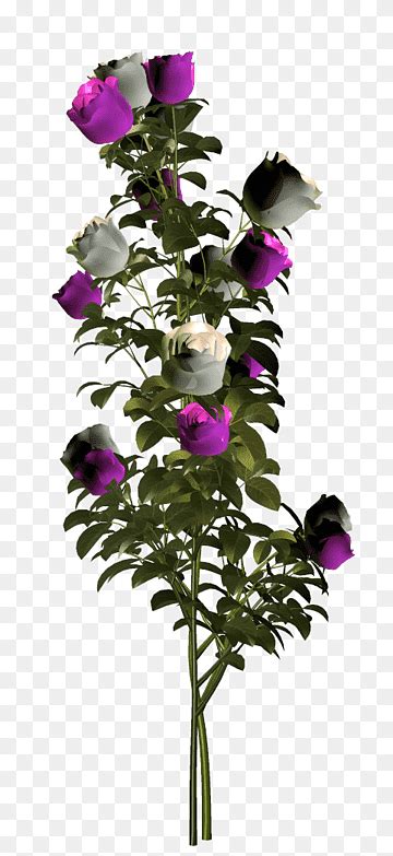 Descarga gratis Jardín rosas diseño floral flores cortadas ramo de