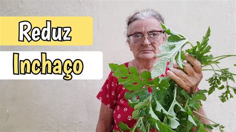 Vó Dalva Ensina um Remédio Caseiro Folhas de Melancia para reduzir
