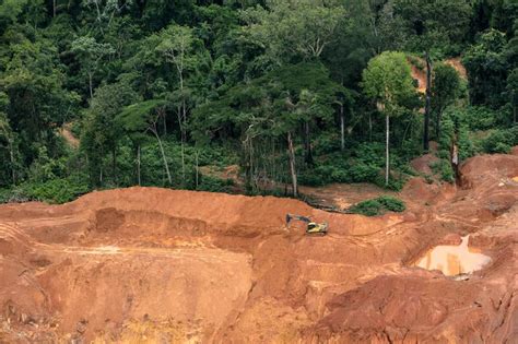 Desmatamento na Amazônia tem queda no primeiro semestre de 2023