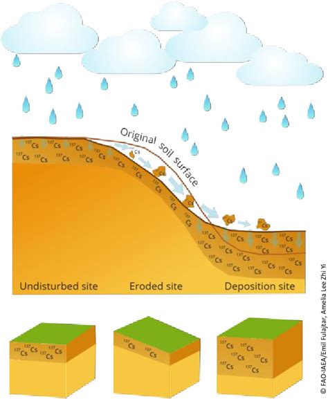 PROCESOS DE EROSIÓN Y SEDIMENTACIÓN DE SUELOS AGUA Y MEDIO AMBIENTE