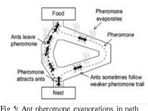 figure 5 from swarm intelligence based ant colony optimization aco approach for maximizing the