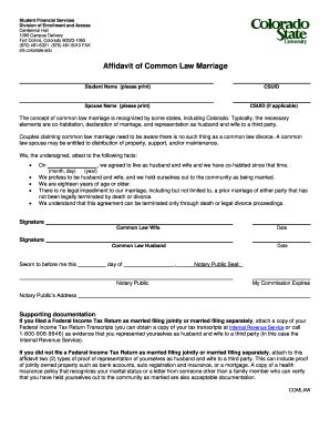 198 Printable Affidavit Of Marriage By Common Law Forms And Templates