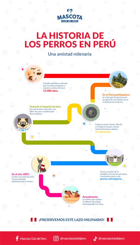 infografía Mascota Club del Perú