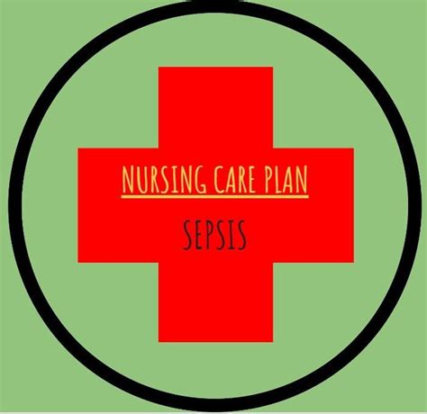 Sepsis Nursing Care Plan Sample Template Includes NANDA Etsy UK