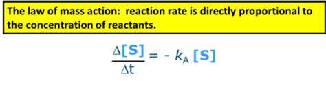 Enzyme Kinetics Flashcards Quizlet