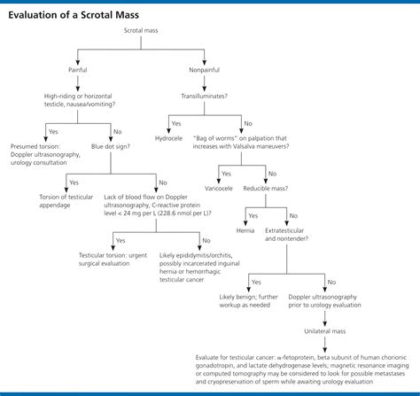 evaluation of scrotal masses aafp