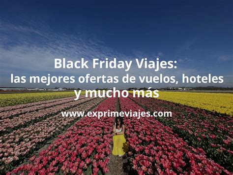 Black Friday 2023 Viajes Las Mejores Ofertas De Vuelos Y Hoteles