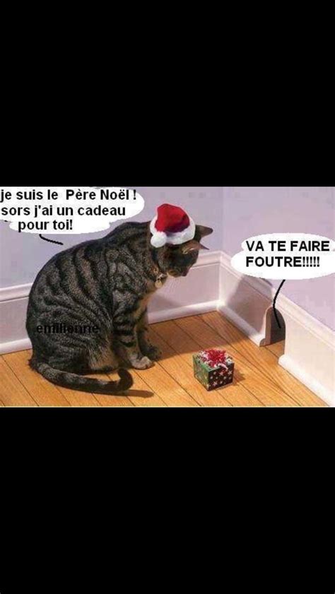 Épinglé par nico sur animaux Images droles humour Blague animaux