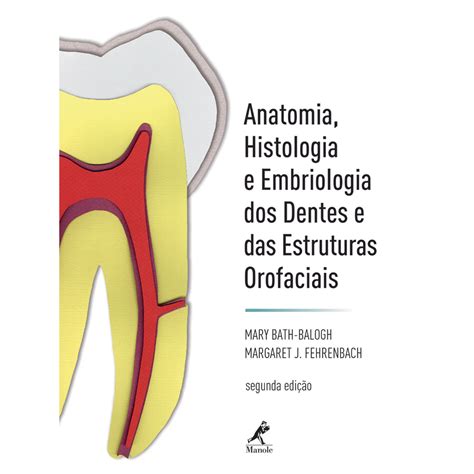 Anatomia Histologia E Embriologia Dos Dentes E Das Estruturas Orofaciais
