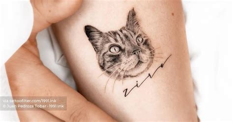 Micro Realistic Cat Portrait And The Name Ziro