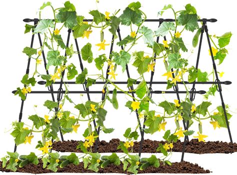Amazon Tandefio 4 Sets 48 X 48 Inch Foldable Cucumber Trellis A
