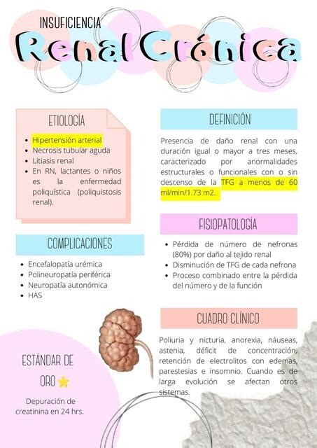 Insuficiencia Renal Crónica Barbara Gomez Farias uDocz