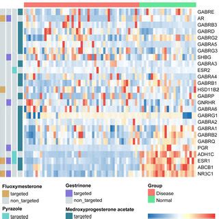 Heatmap Of Gene Expression Levels Of Drugs Targets Between Breast