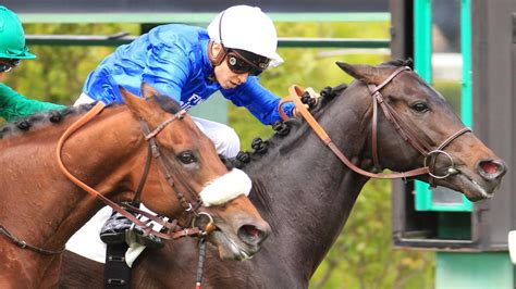 Un Pronostic En Or North Hunter Le Rachat Base Quint Du Jour Du