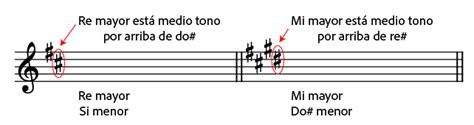 Referencia Identificaci N De Armaduras De Clave