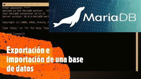 exportar e importar base de datos con mariadb youtube
