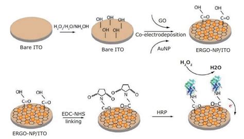 Properties And Applications Of Functionalized Graphene Oxide