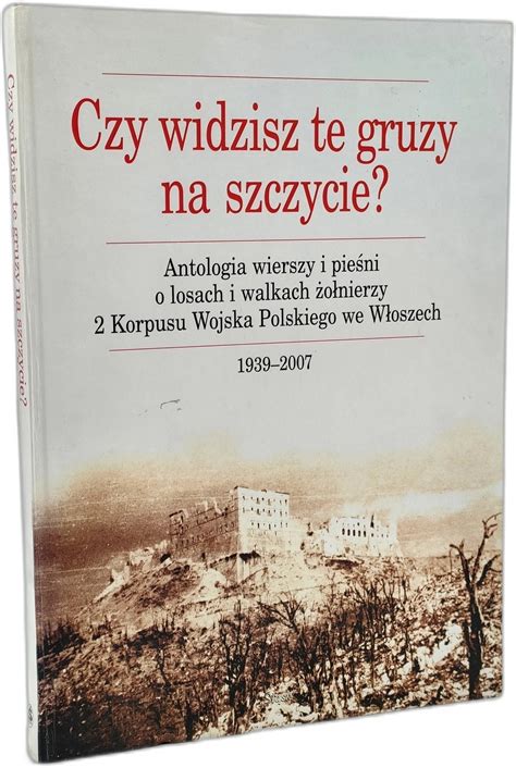 Żdanowicz W Czy widzisz te gruzy na szczycie 2 Korpus Wojska
