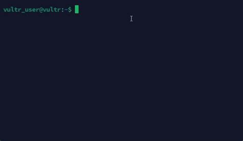 How To Use The Ls Command In Linux Vultr Docs