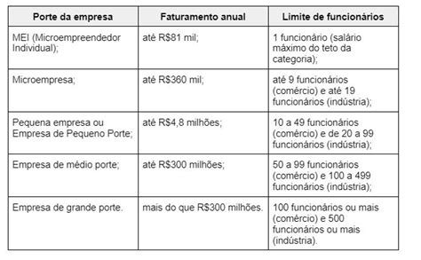 Porte Da Empresa Saiba Em Qual A Sua Se Encaixa
