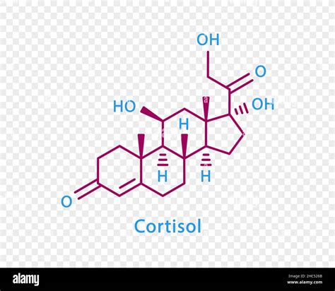 Cortisol Chemical Formula Cortisol Structural Chemical Formula