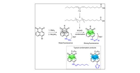 Naphthalimide Based Fluorescent Probe For Profiling Of Aldehydes During