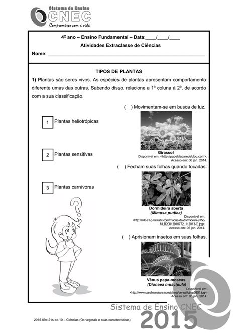 ATIVIDADES DE CIÊNCIAS SOBRE PLANTAS MEIO LOCAL E ASTROS