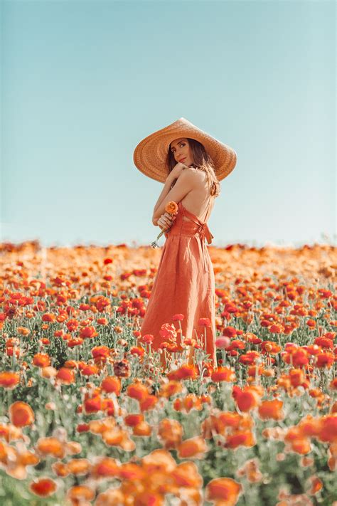 Dreamy Peach Flower Fields Flower Photoshoot Photoshoot Outdoor